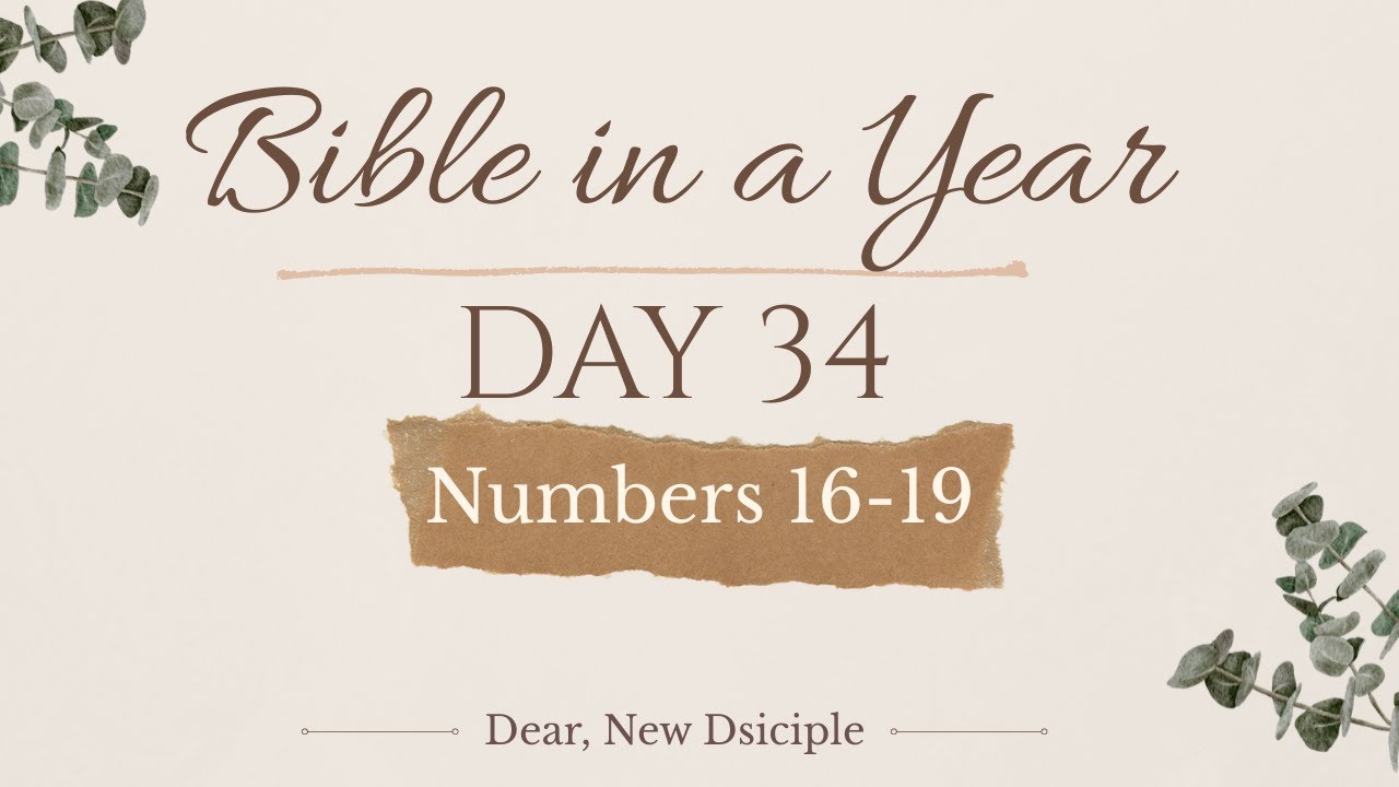 Bible In A Year | DAY 34 | Numbers 16-19 | NLT - YouTube