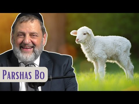 Bo - Slaughter The Idols | Rabbi Dovid Orlofsky