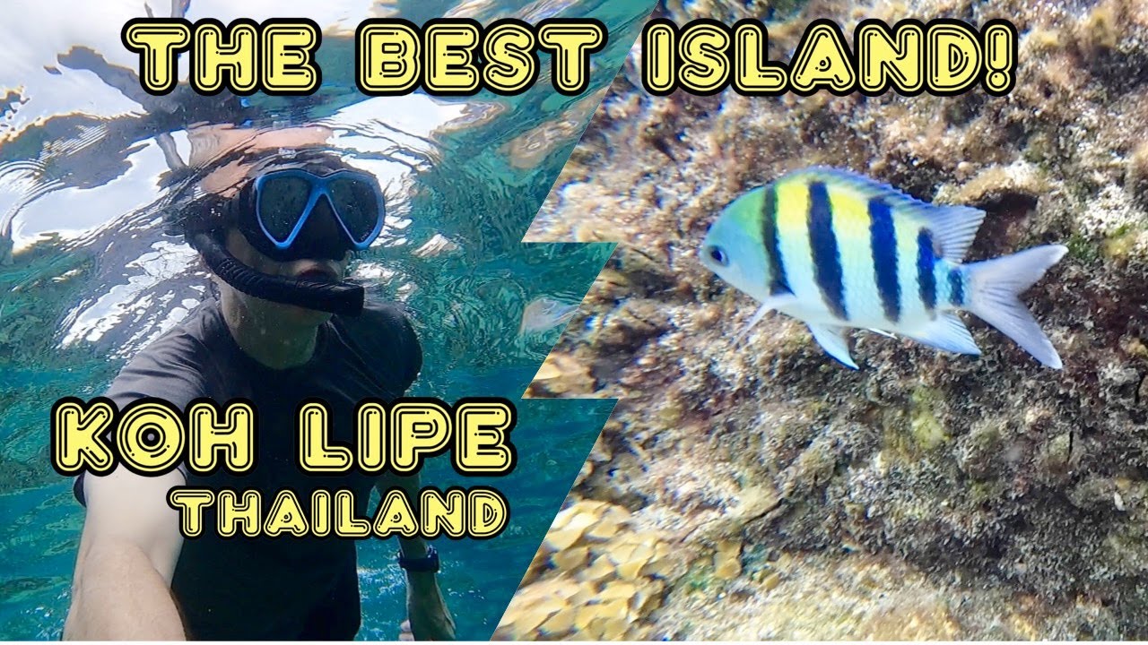 Snorkel in paradise - KOH LIPE Island - 🇹🇭 THAILAND -Southeast Asia Ep ...