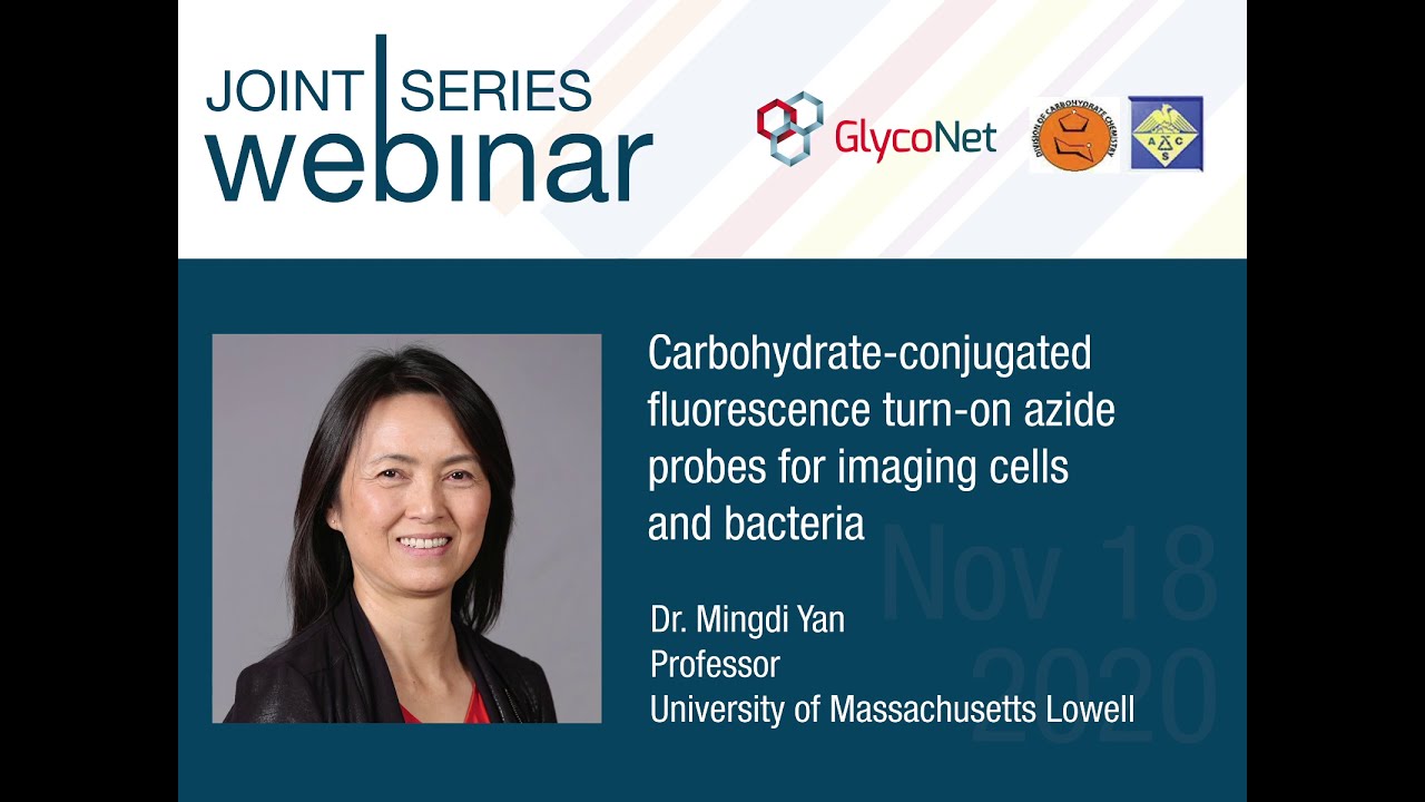 GlycoNet/#ACSCARB Webinar ft. Dr. Mingdi Yan - YouTube