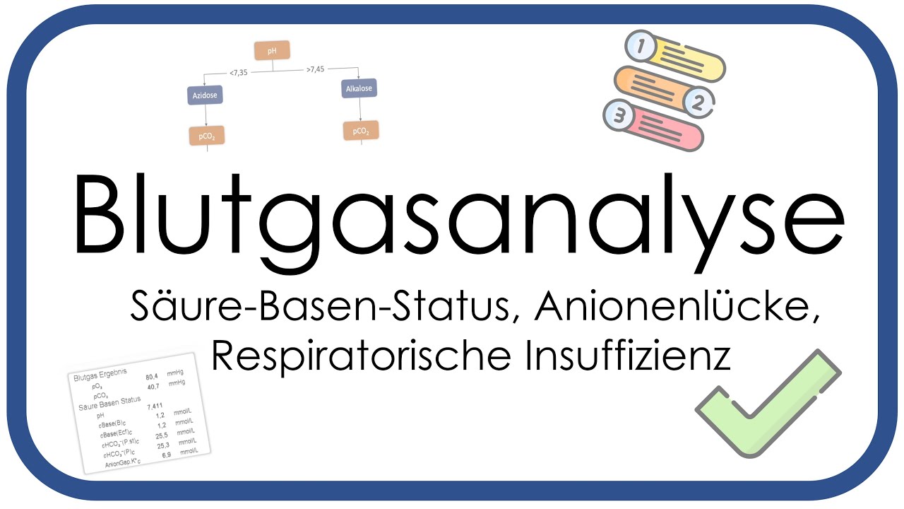 Blutgasanalyse (BGA) - Säure-Basen-Status, Anionenlücke ...