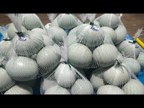Jual TELUR BEBEK ASIN @ 4000 Perbutir