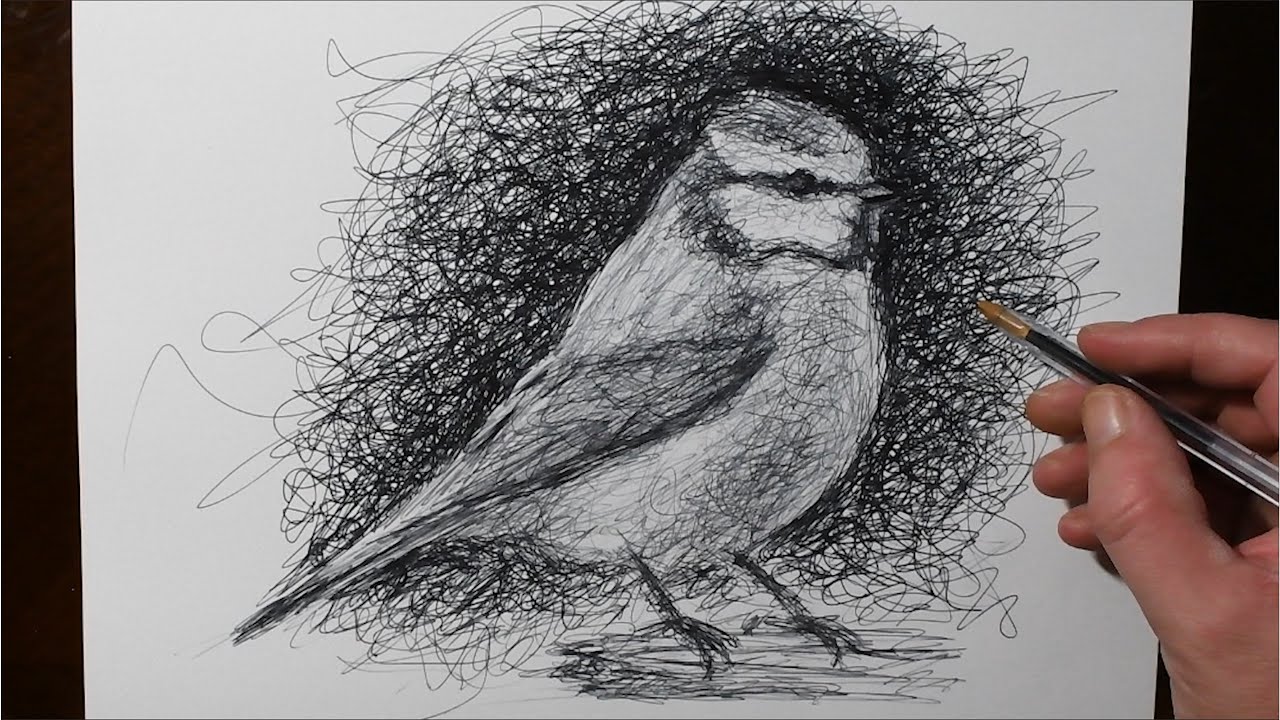 How to Draw a Blue Tit with a Pen | Scribble Art Style Drawing - YouTube