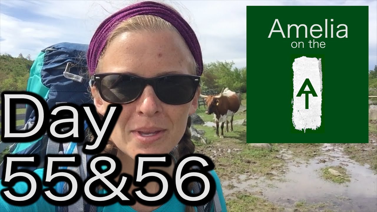 Amelia on the AT - Trail or River? [Episode #29] - YouTube