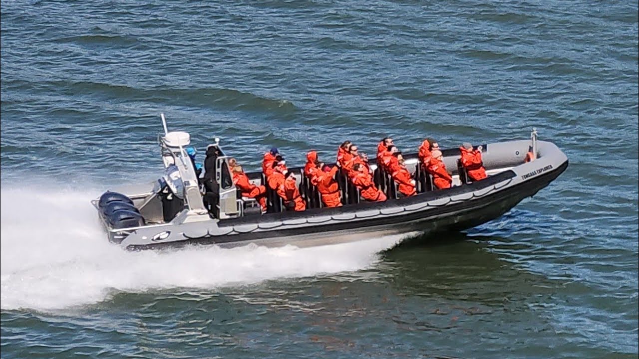 Skagway Fast Boat Tours - Ocean Raft Wildlife Adventure - YouTube