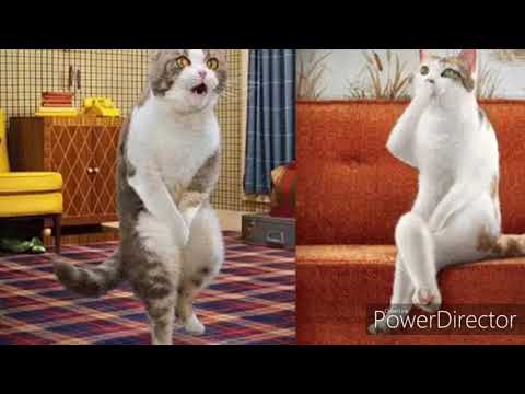 İbrahim Tatlıses - Dere Kenarından Geçtim