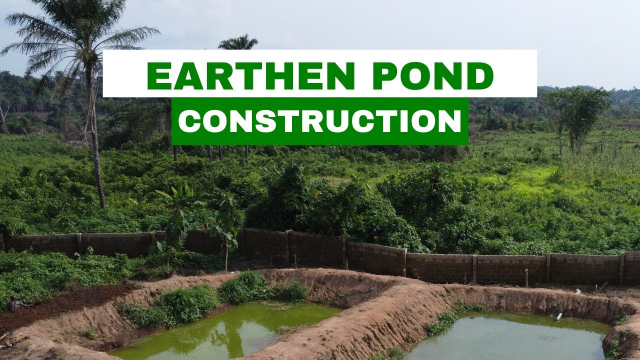Earthen Pond Construction | Key Steps for a Durable and Productive Pond ...