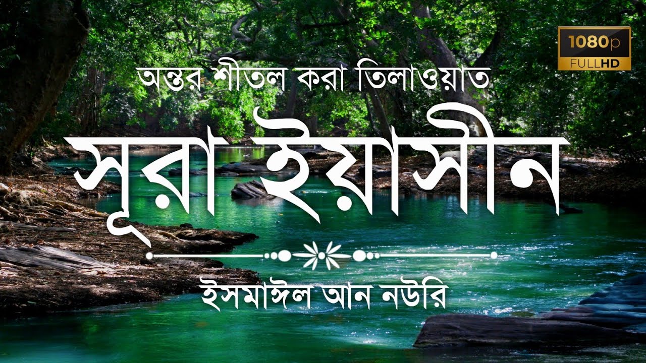 অন্তর শীতল করা কন্ঠে সূরা ইয়াসিন এর তিলাওয়াত┇Surah Yasin Recited by ...