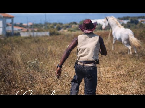MR AIZY-CAVALO PORTUGUÊS 