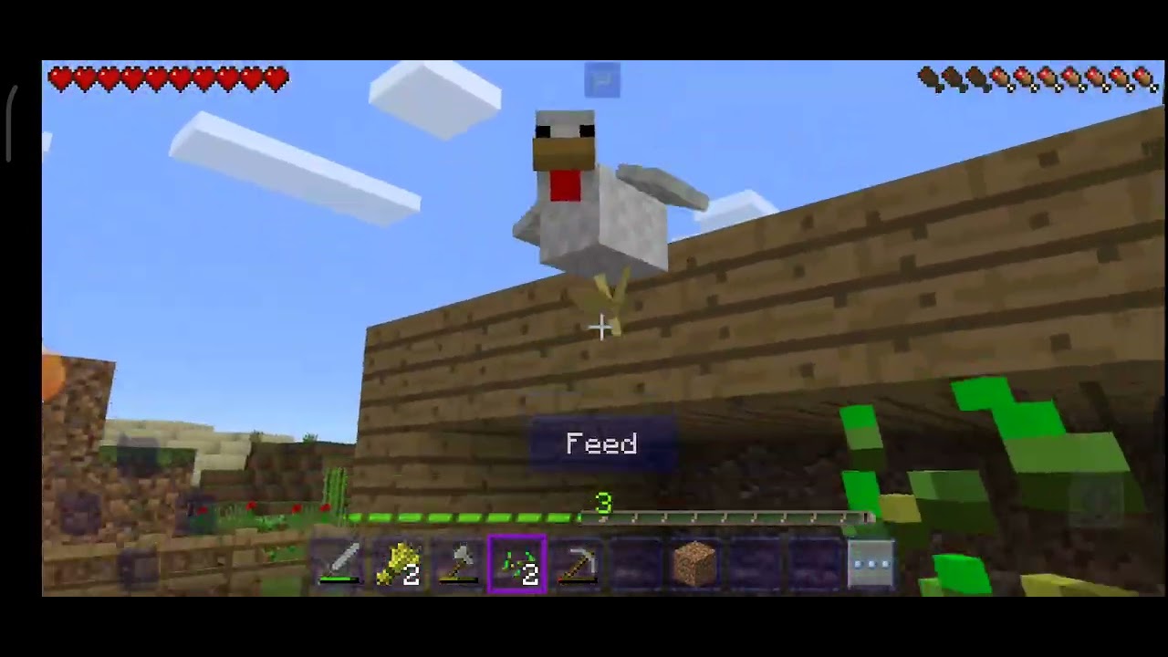 Az állatok beköltöznek 2 ?! Minecraft Survival sorozat 6.rèsz - YouTube