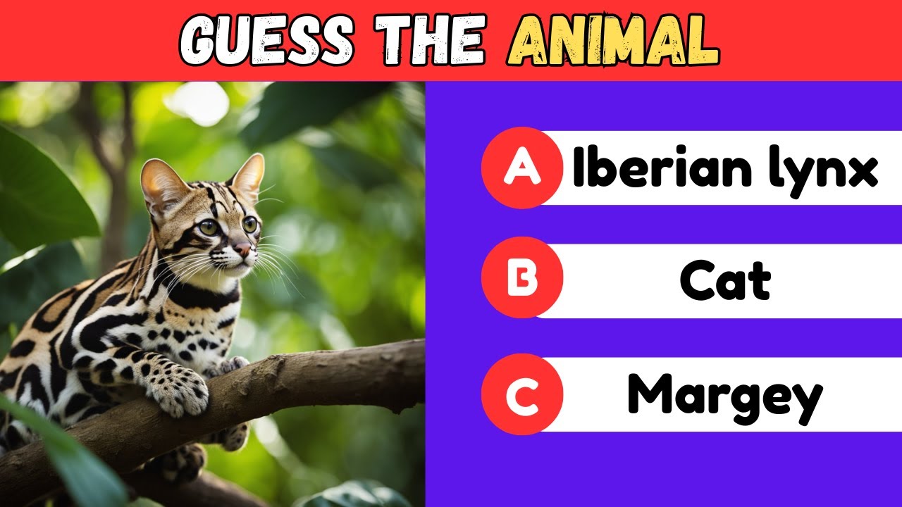 Guess the animal game challenge | Fun brain game | Puzzle path - YouTube