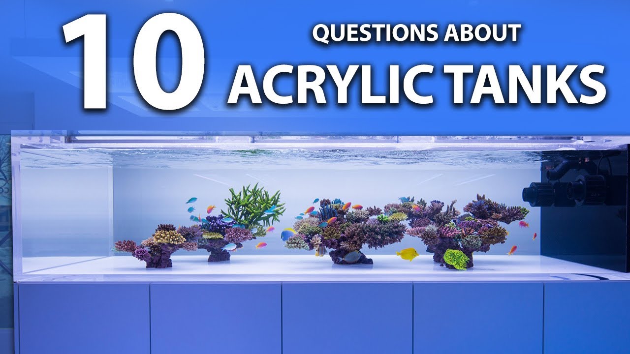 10 facts about ACRYLIC TANKS - YouTube