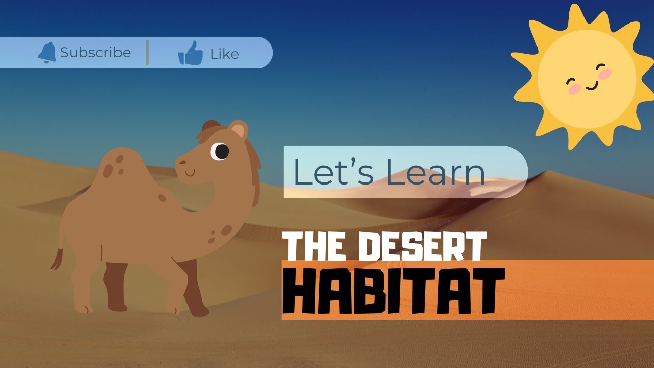 Venturing into the Desert Habitat - YouTube