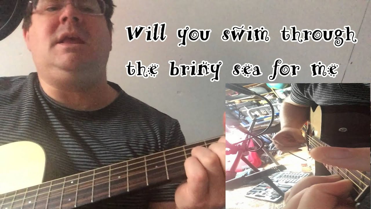 Johnny Flynn "Detectorists" cover by 12Stringsolo - YouTube