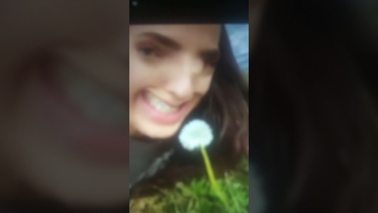 oh look a dandelion meme 3 second - YouTube