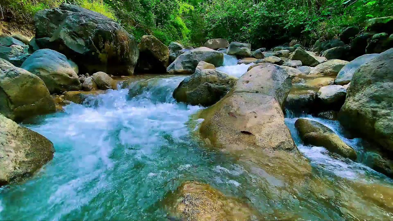 Beautiful Mountain River Flowing Sound. Forest River, Relaxing Nature ...