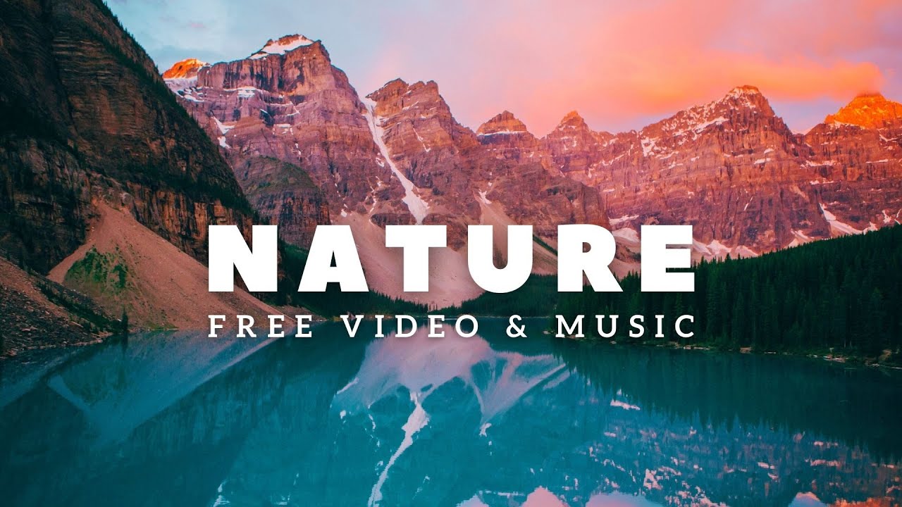 [4K] Stock Video Background | Free Stock Footage - No Copyright of ...