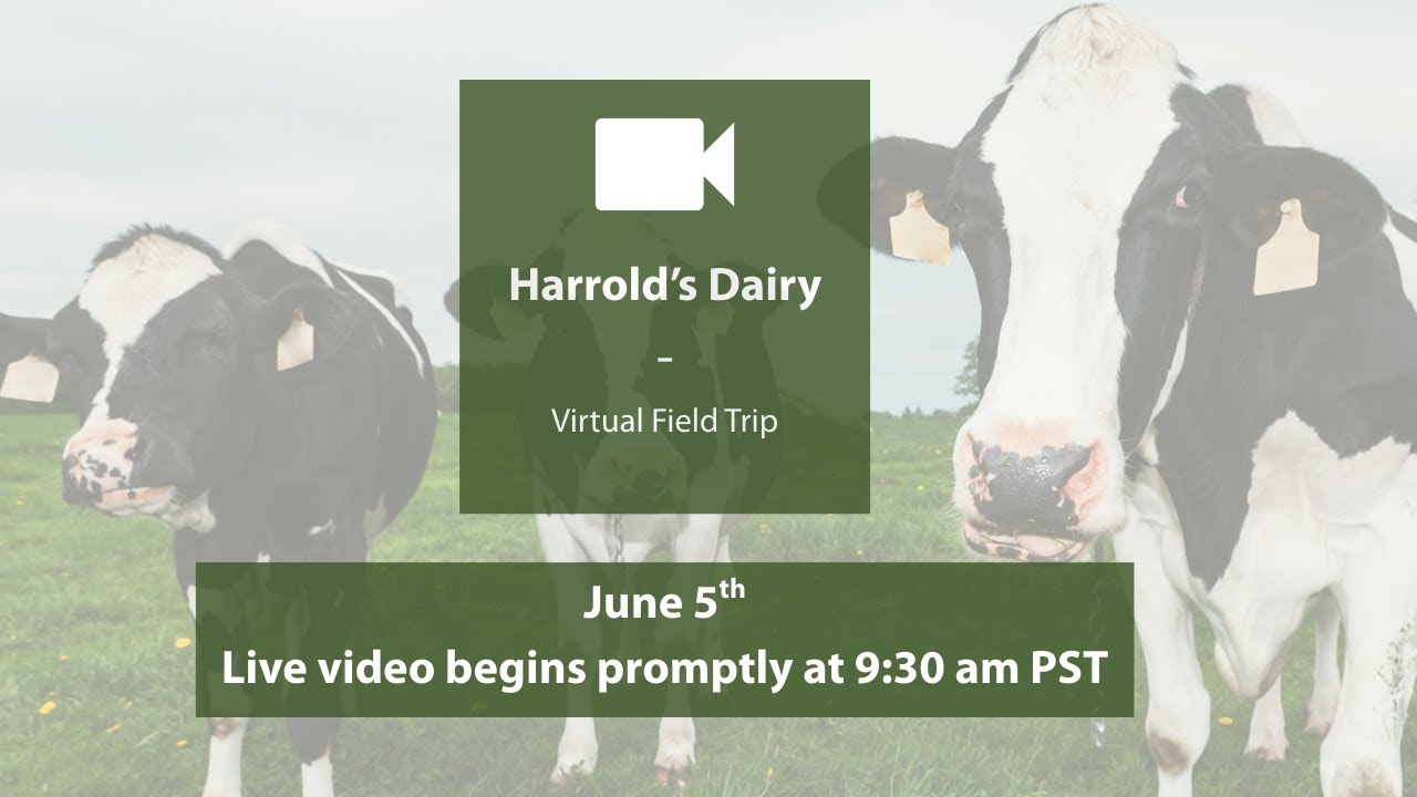 Harrold's Dairy Virtual Field Trip - YouTube