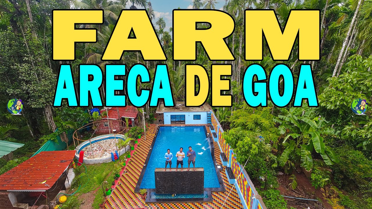 Exploring the Serene Farm Areca de Goa Advalpal #arecadegoa - YouTube