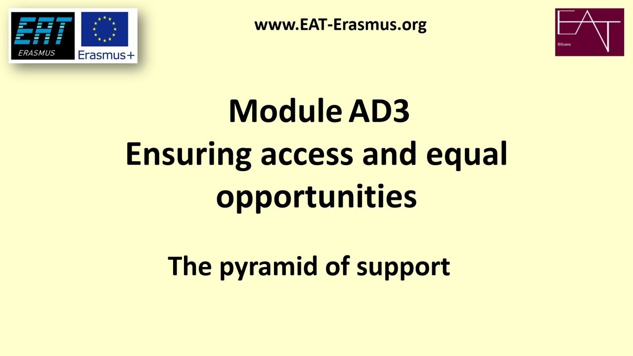AD3-2 - The Pyramid of Disability Support - YouTube