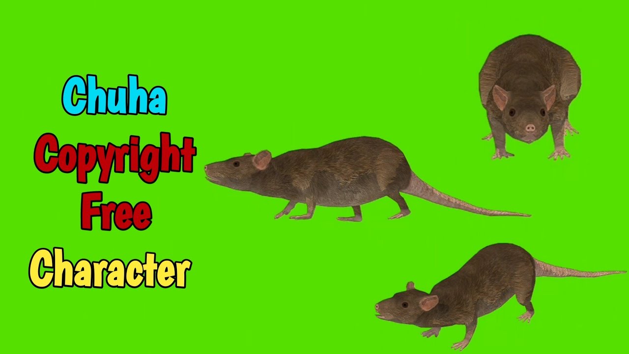 Chuha Green Screen Video Free Download / Chuha Walking Video / Chuha ...