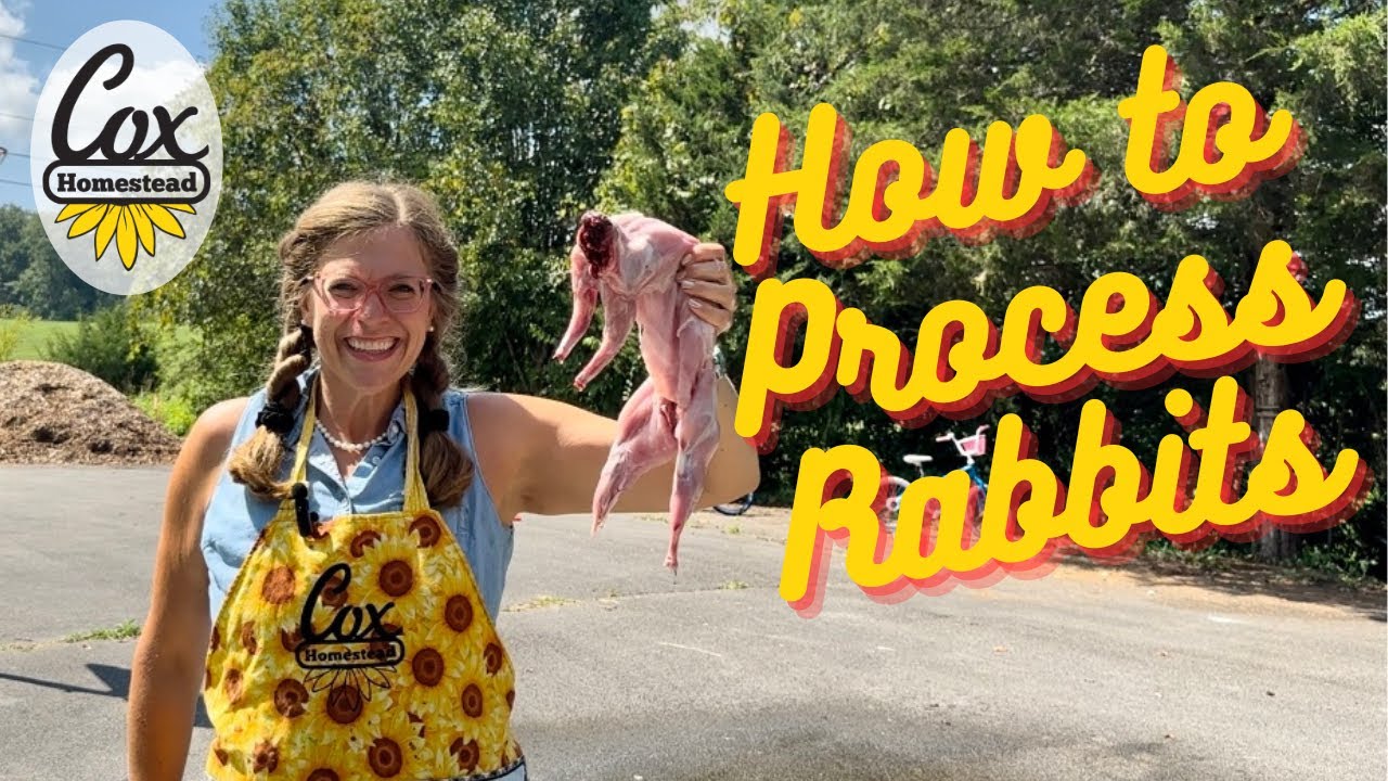 How to Process Meat Rabbits | Cox Homestead Humane Dispatch and ...