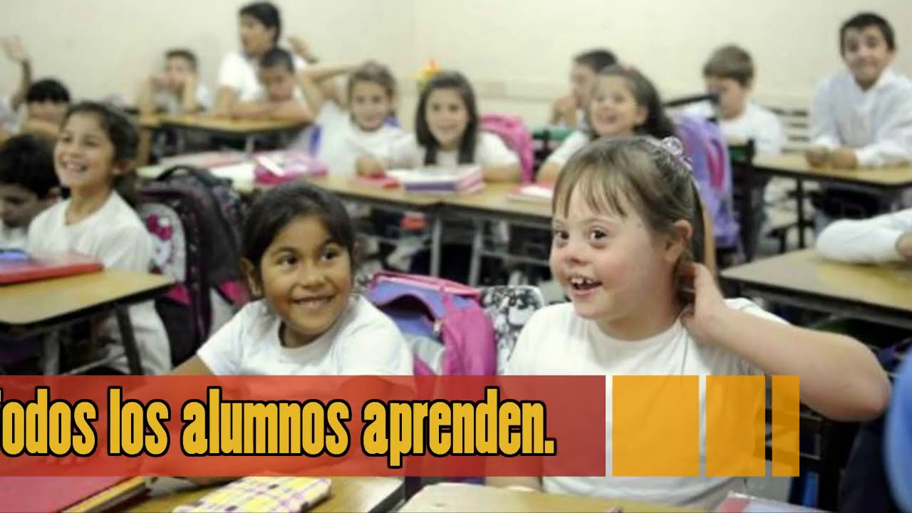 El diseño de la enseñanza en las aulas heterogéneas: La organización ...