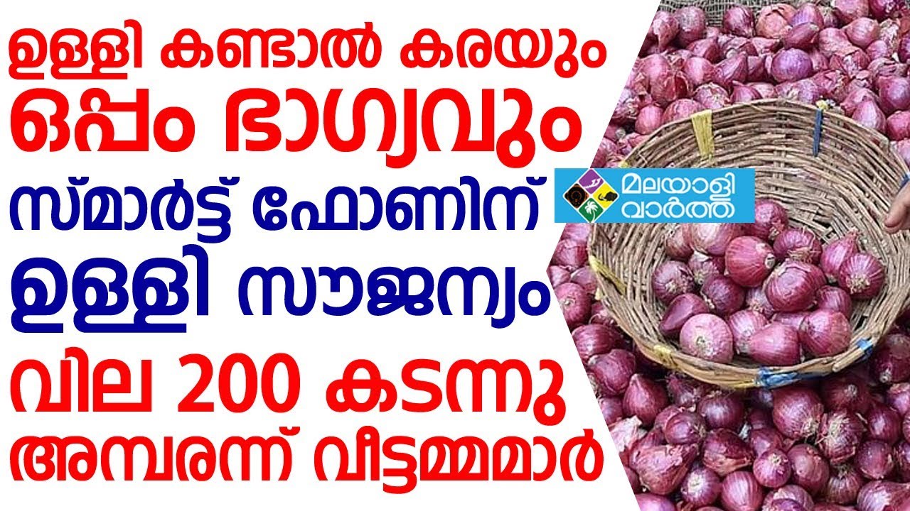 Onion: ഇതും കാണണമല്ലോ... - YouTube