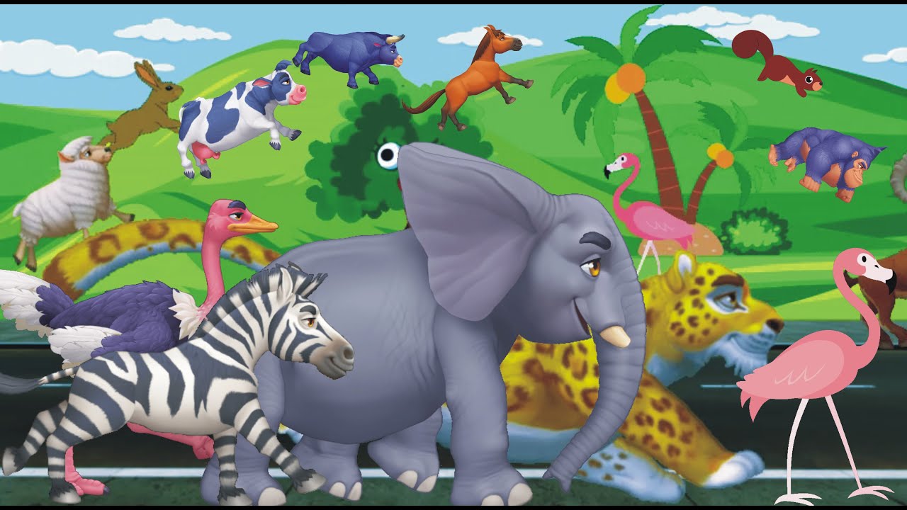 animals walk and run | animal on mountain | animal walking in circle ...