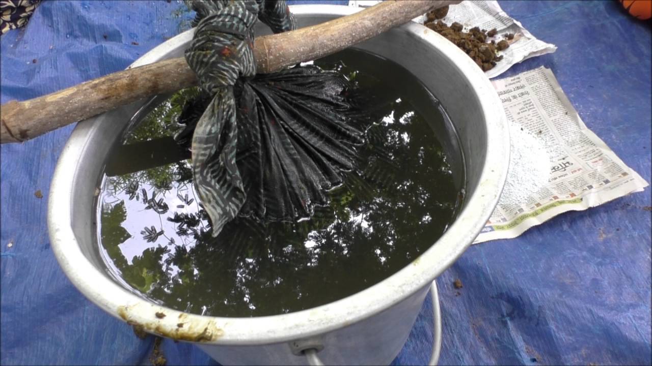 Seed treatment in Paddy with Beejamrutham_ DoAG & Digital Green ...