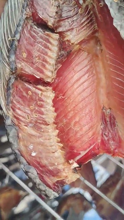 #sorts Вяленые караси #fish - YouTube