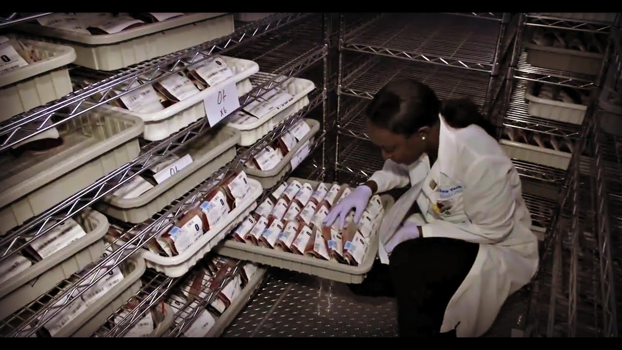 How NYBC Works - YouTube