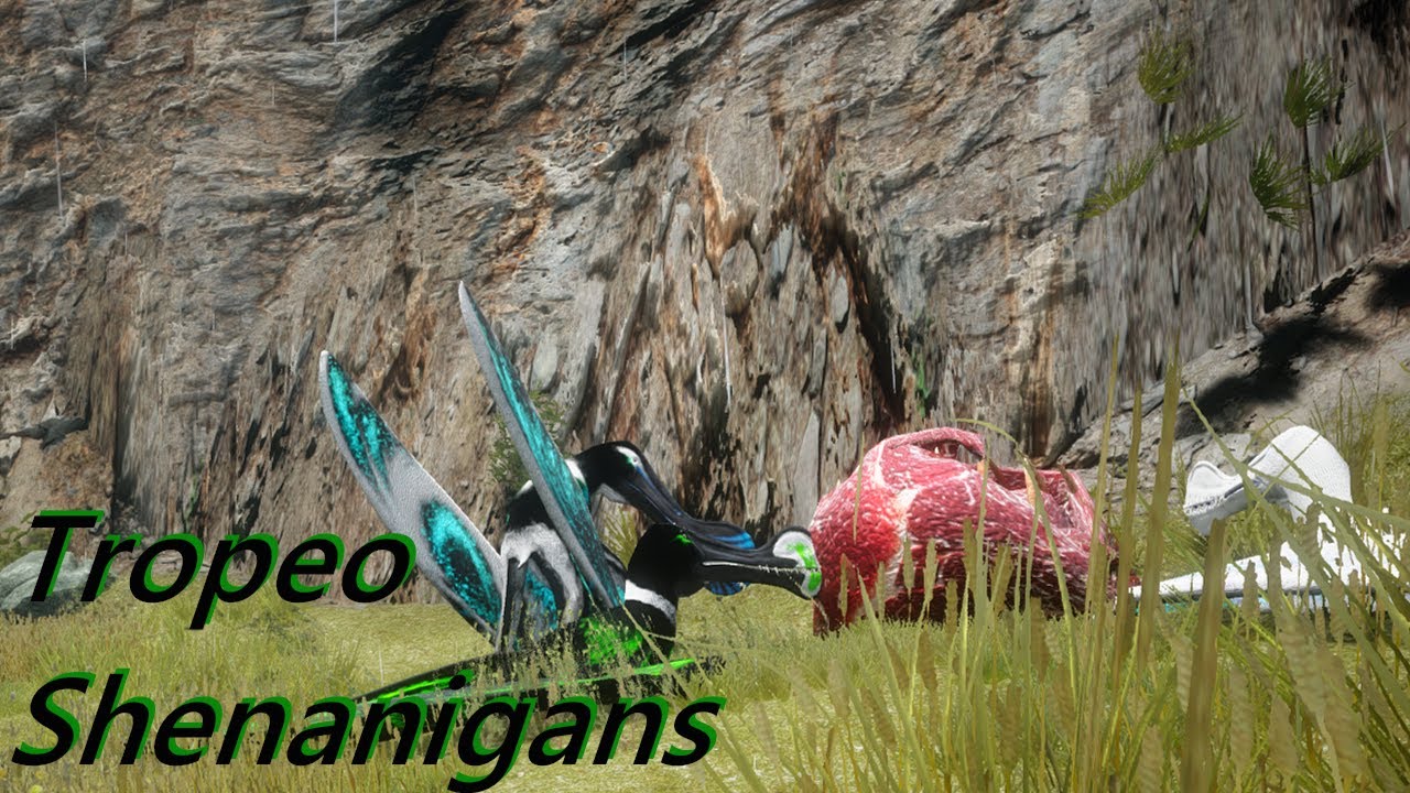 Tropeo Shenanigans - YouTube