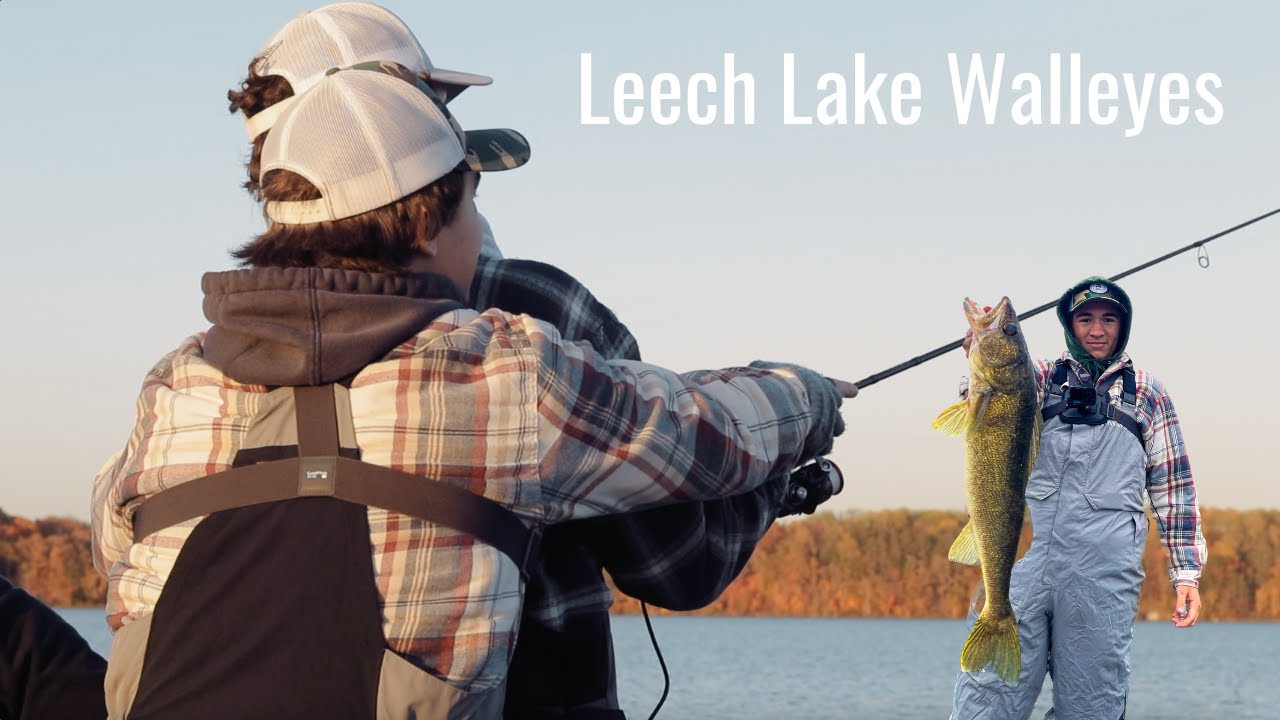 HAMMERING Fall Walleyes on Leech Lake! -- (They Were Hungry!) - YouTube