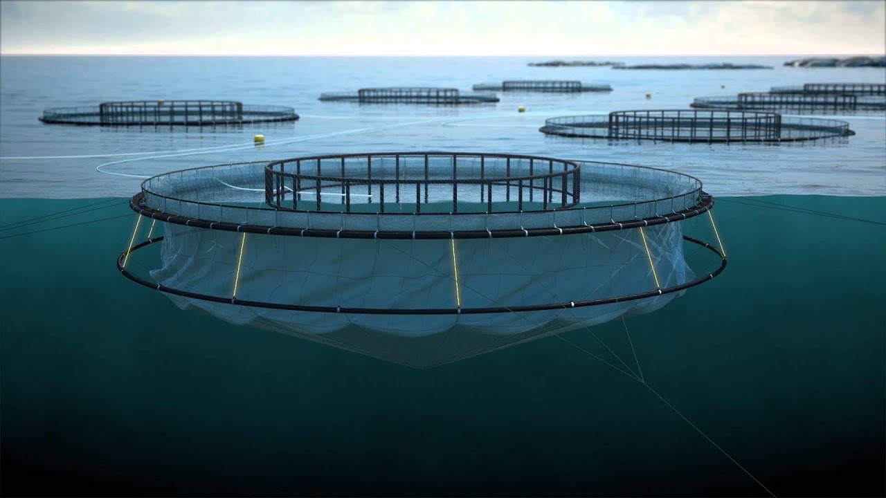 Aqualine Midgard System - YouTube