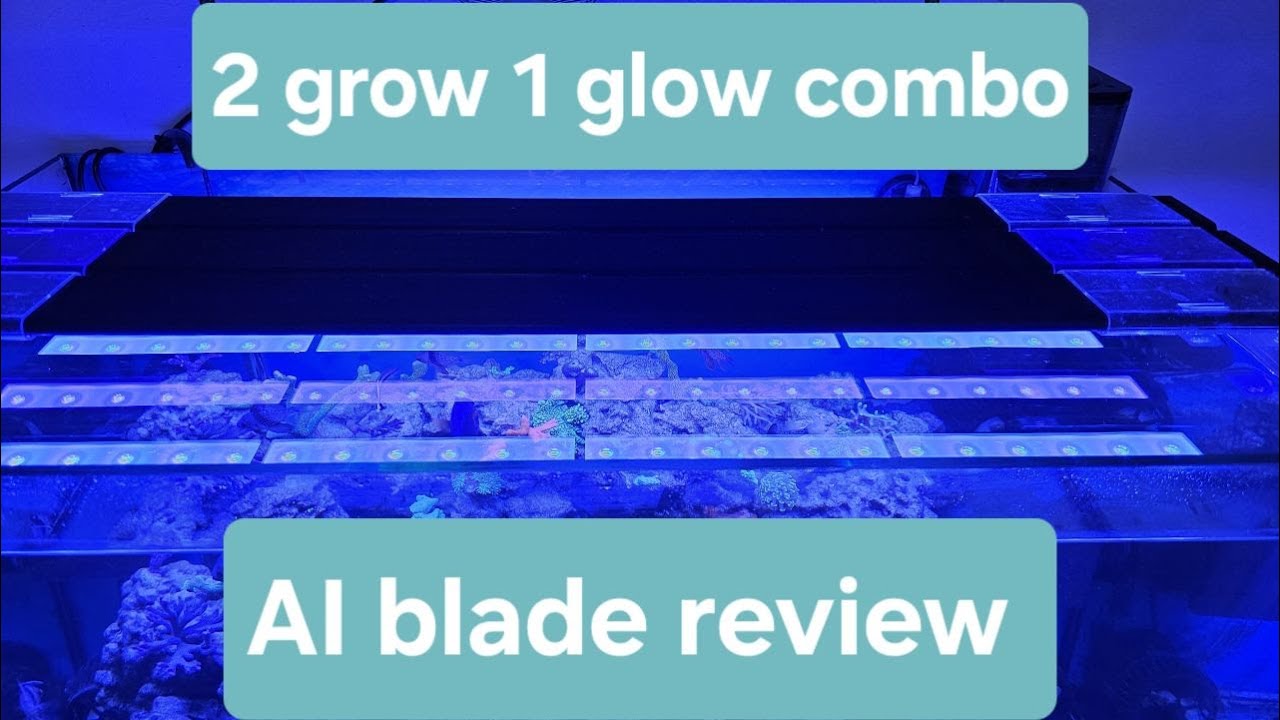 AI Blade Review: 2 grows 1 glow combo - YouTube