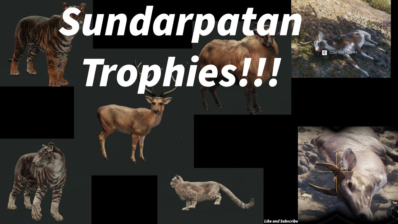 Sundarpatan TROPHY MONTAGE!!!! - YouTube
