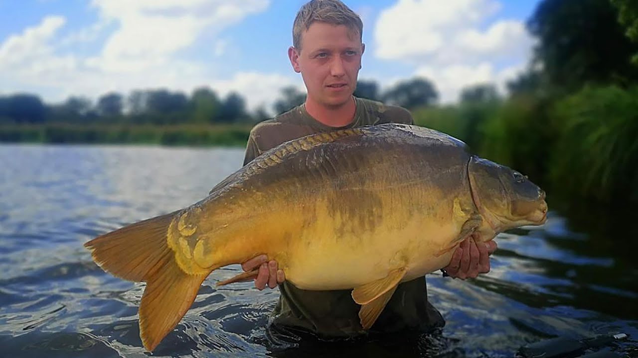 The Carpy Cast - 22-09-2022 - Big carp at Villedon and beautiful carp ...