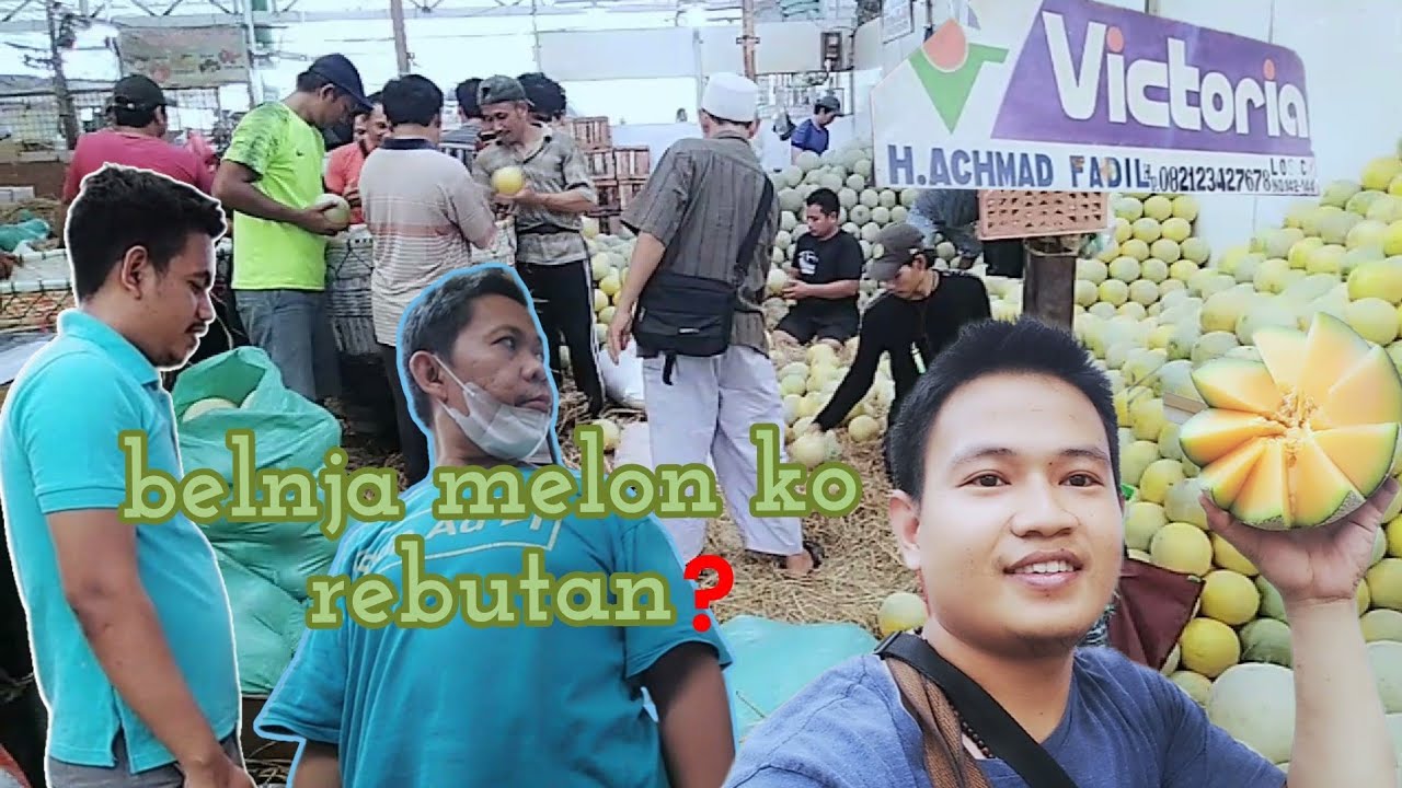 HARGA MELON OREN DI INDUK MAKIN TINGGI JADI BINGUNG YANG BELNJA!! - YouTube