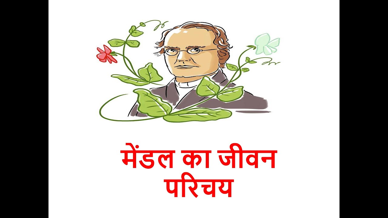 History of Mendel (मेंडल की कहानी और उसका संघर्ष) - YouTube