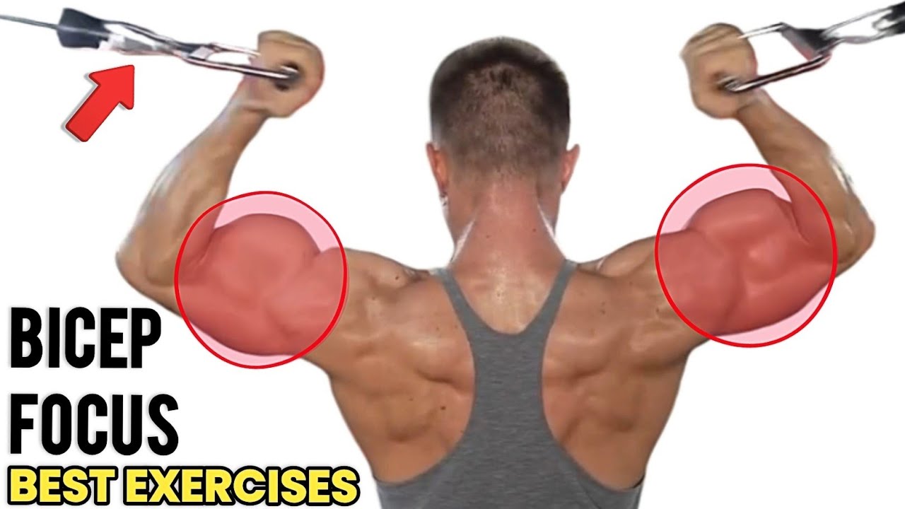 Best Bicep Exercises To Build Big And Oval Bicep Muscle | Bicep Workout ...