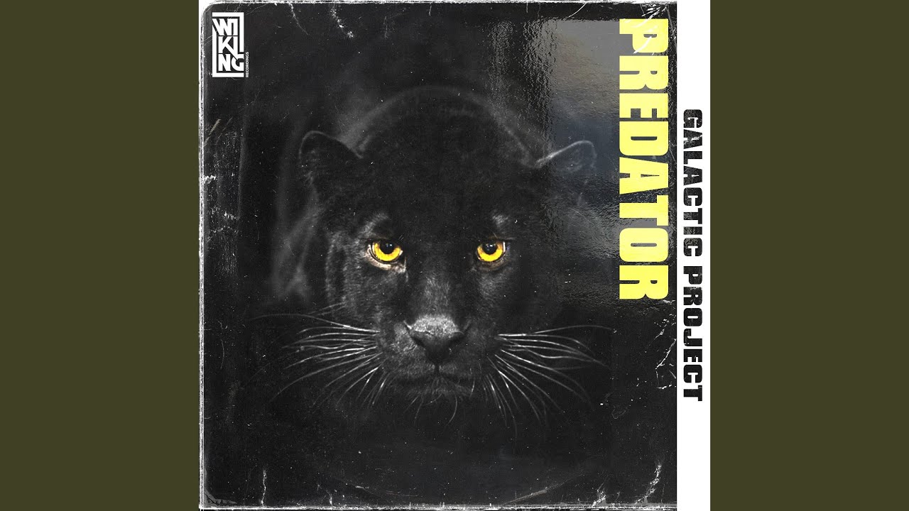 Predator (Original Mix) - YouTube