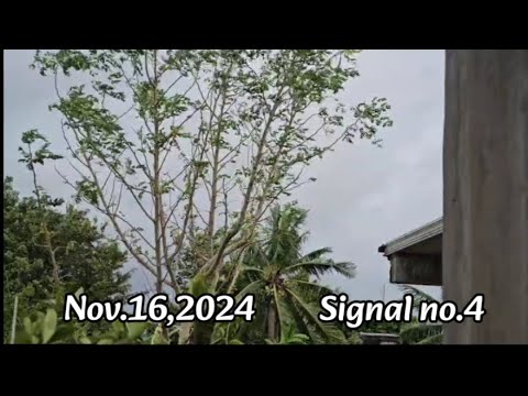 Part 2 Of Typhoon Pepito's Update "Signal no.4" - YouTube