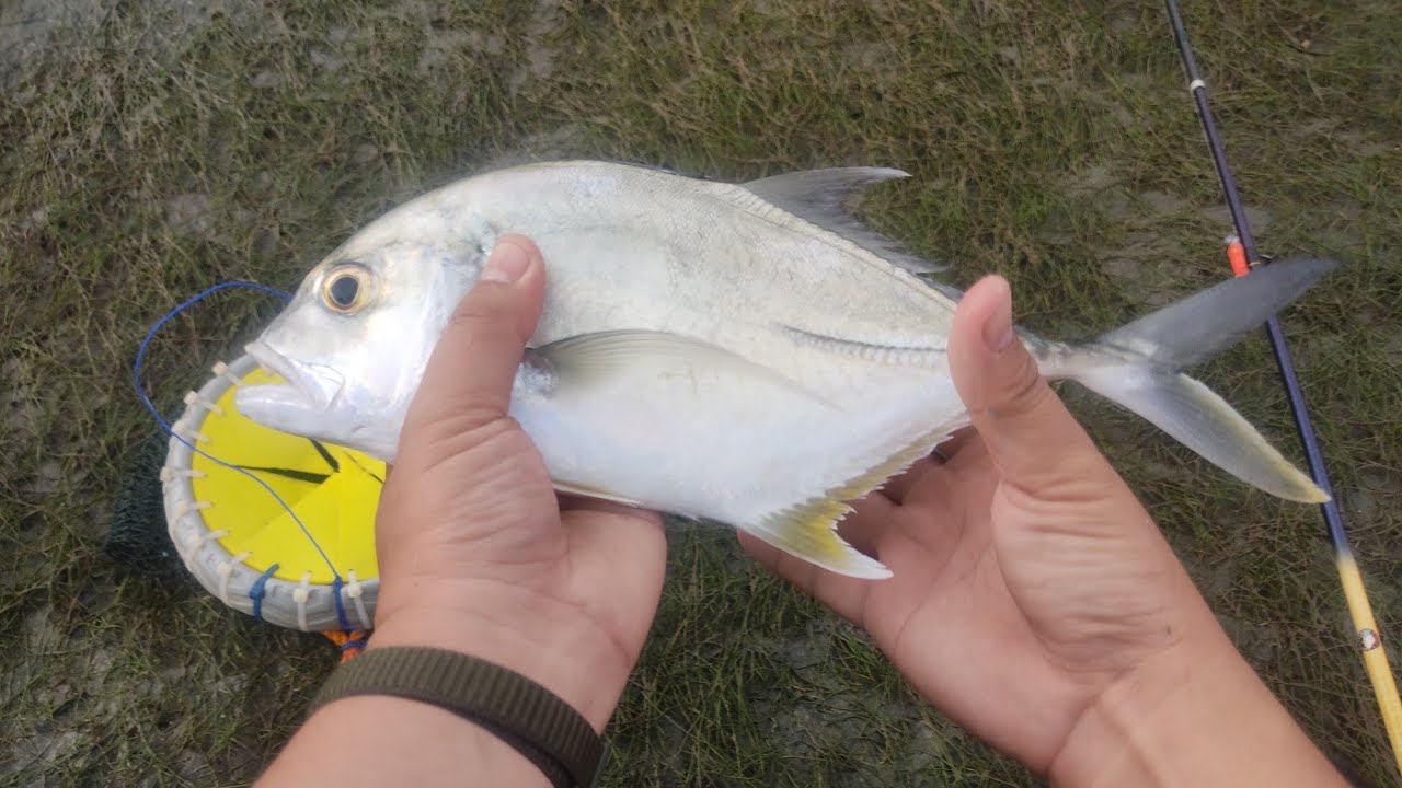 Early Morning Catch - Almost slipped out! - YouTube