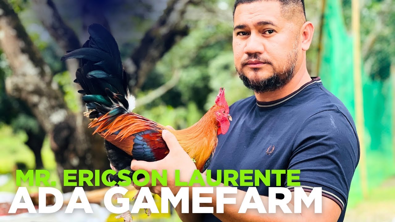 GETTING TO KNOW MR. ERICSON LAURENTE OF ADA GAMEFARM | SOLID ANG ...