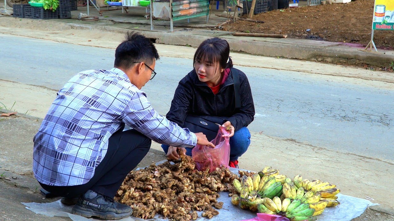 Poor boy gardening - Harvest Bananas and Ginger to sell at the Market ...