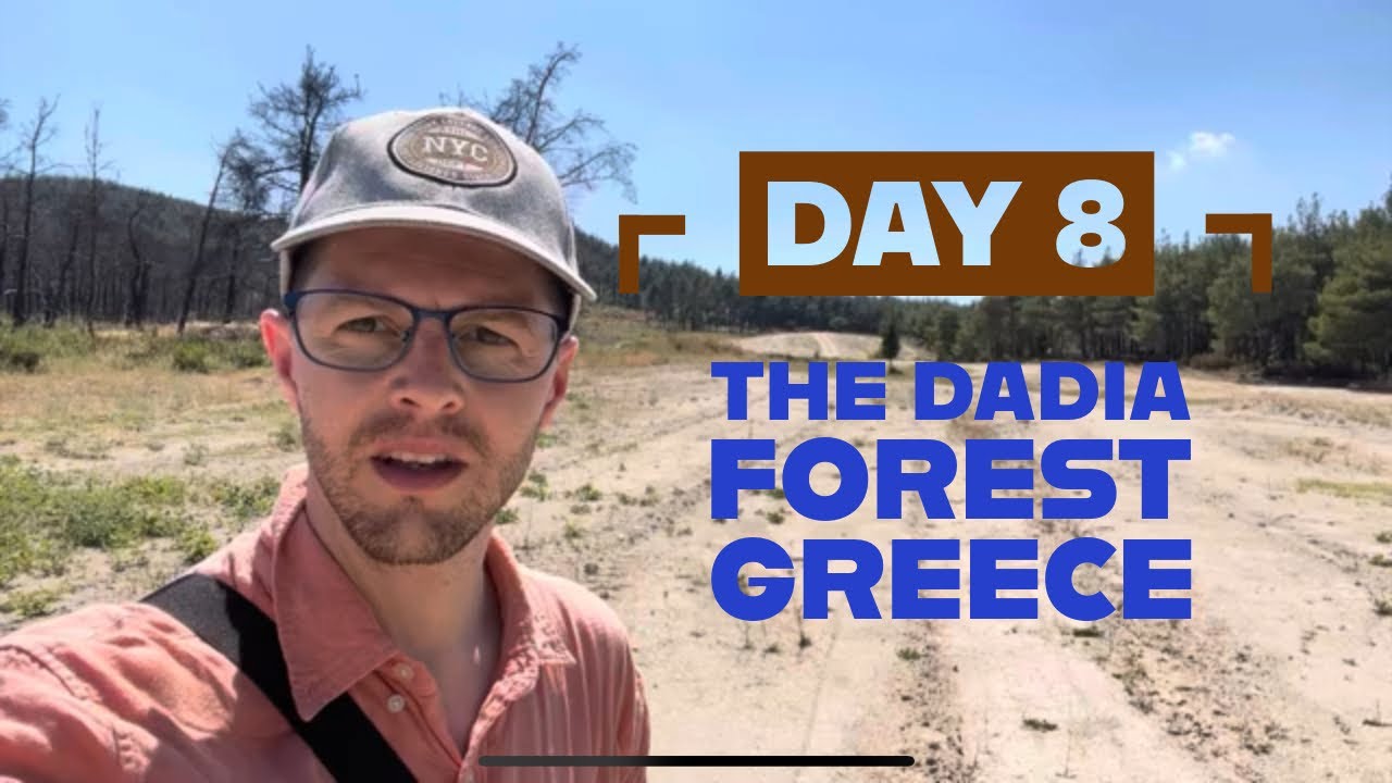 Day 8: The Dadia forest, Greece - YouTube
