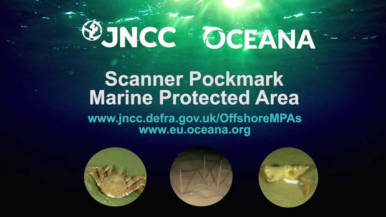 Scanner Pockmark Marine Protected Area - YouTube