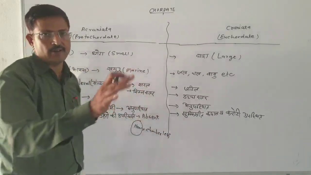 difference between Acraniata and Craniata || Bsc part 2 - YouTube