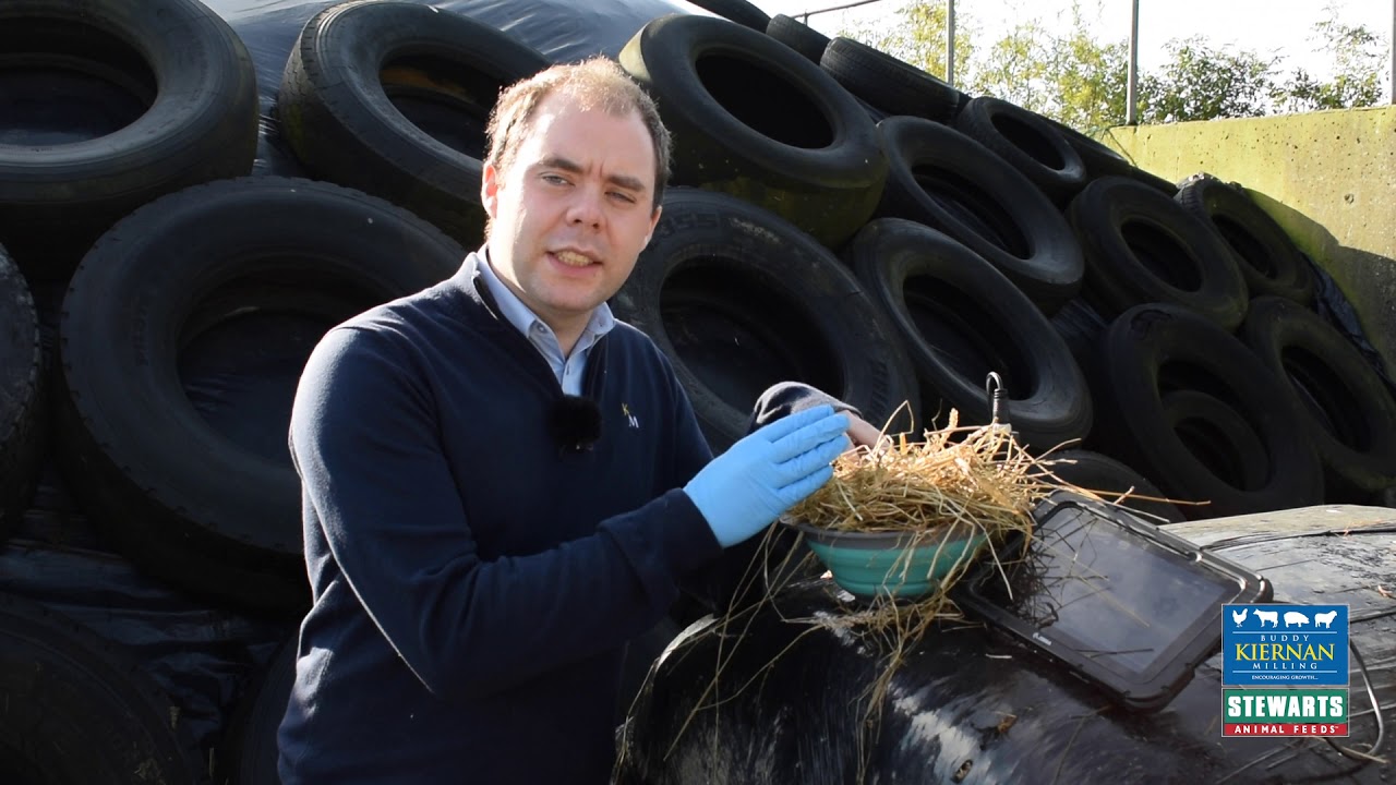 Silage Testing - YouTube
